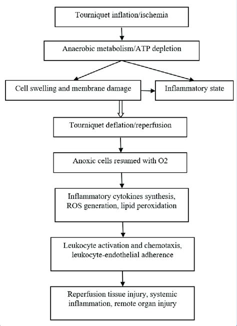 Intestinal Ischemia