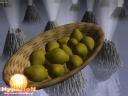 OZone D Net Programming Tutorials OpenGL GLSL Lua Direct D Graphics Cards