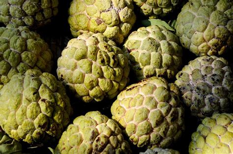 atis photograph by marlene del rosario