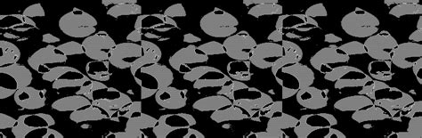 antmicro · improved and automated image data analysis with raviewer s
