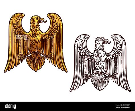 Hawk Coat Of Arms