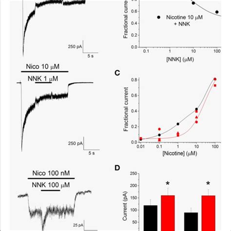 Molecular Structures Of Nicotine Nnk And Nnn Nnn And Nnk Are The