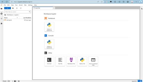 基于nginx反向代理配置带ssl的云端jupyter Lab环境 Eslzzyl 博客园