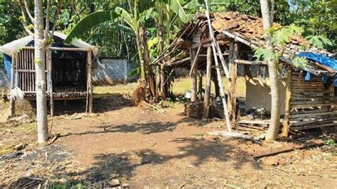 Breaking News Pembunuh Santriwati Di Darupono Kendal Tertangkap Tribunjateng Com