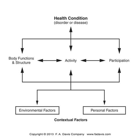 Chapter Functional Ability Flashcards Quizlet