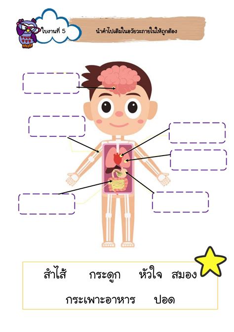 ใบงานวิทย์ ป 1 Kameelah Maseng หน้าหนังสือ 7 พลิก Pdf ออนไลน์ Pubhtml5