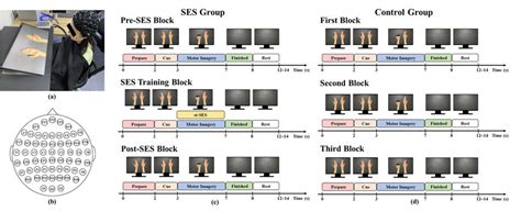 Experimental Paradigm A A Visual Representation Of The Experimental