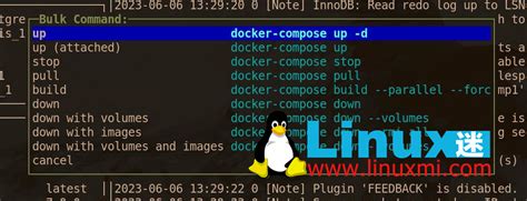 如何使用 Lazydocker 管理您的 Docker 容器 Linux迷