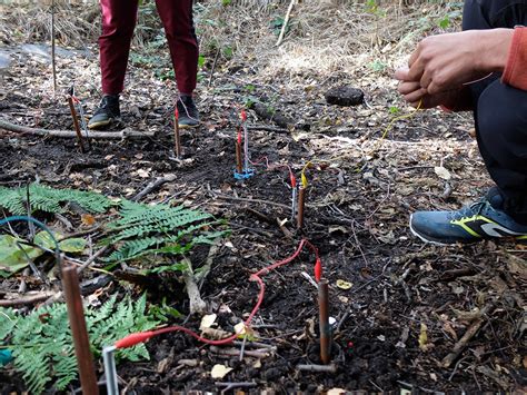 Boundary Detector Workshop Part 2 Antony Hall