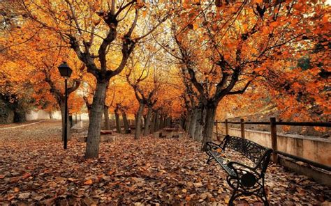 متن درباره پاییز غمگین، عاشقانه و کوتاه به انگلیسی برای استوری پارسی دی