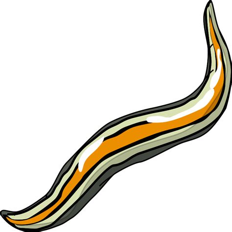 Flatworm Terrestrial Figure Science Figures