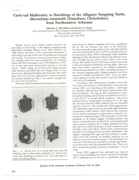 Pdf Curly Tail Malformity In Hatchlings Of The Alligator Snapping Thrtle Macroclemys