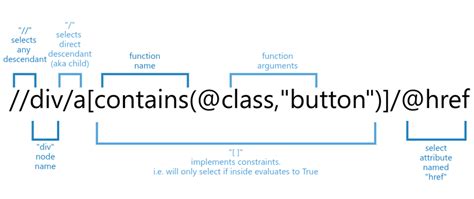 mastering xpath for web automation from basics to advanced techniques dev community