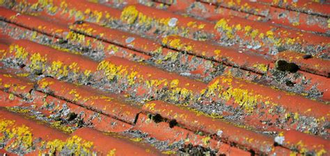 How To Remove Rust From Porcelain Tiles Easy Methods