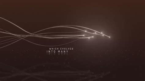 Create Amazing Motion Trails Using Expressions In After Effects Artofit