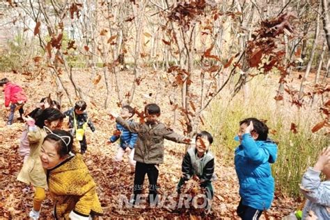 서울의 공원에서 만나는 슬기로운 육아생활 유아숲 가족축제 뉴스로
