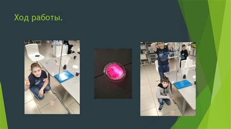 Опыты с растениями презентация онлайн