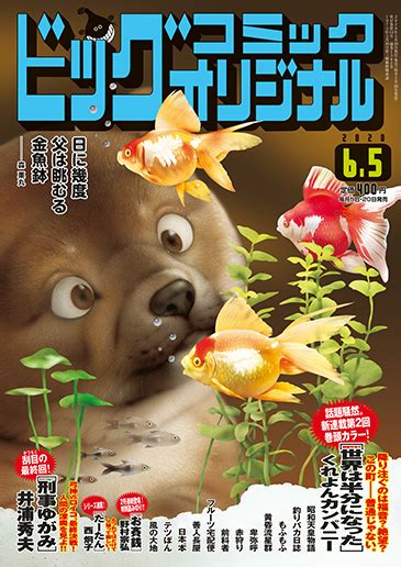 ビッグコミックオリジナル第11号 ビッグコミックbros Net（ビッグコミックブロス）｜小学館