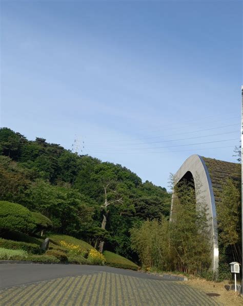 전남 장성 푸른솔cc 라운딩 후기 네이버 블로그