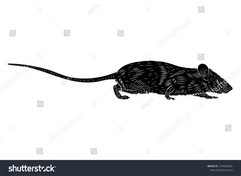 Rat Running Clipart Illustration