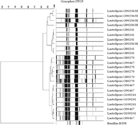 Cluster Analysis Of Digitized Banding Patterns Generated By Rep Pcr