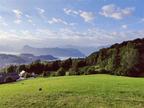 Can Your Business Afford Not To Be Sustainable