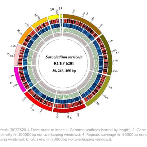 Maximum Likelihood Phylogenomic Tree Based On The Amino Acids Encoded Download Scientific