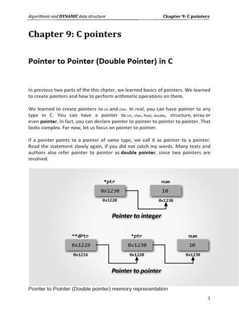 Asd Course Chap9 Pointer To Pointer Double Pointer In C Pdf Pointer Computer