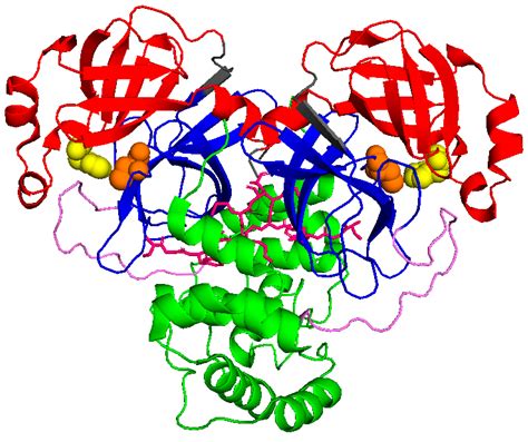 Ijms Free Full Text Stabilization Of The Dimeric State Of Sars Cov