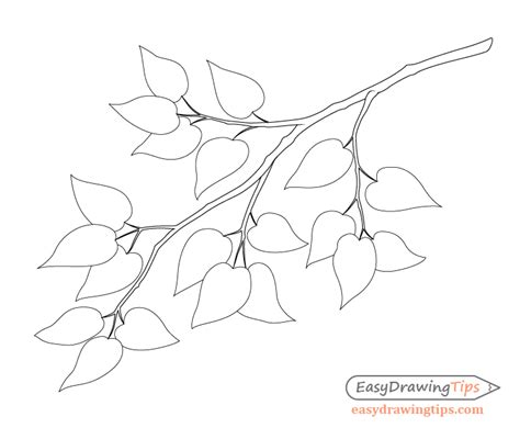 How To Draw A Tree Branch With Leaves EasyDrawingTips