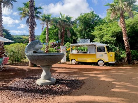 스누피 가든 Summer Camp