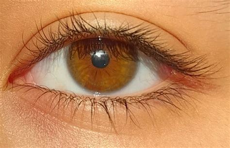 My Eye Honey Eyes Color Hazel Brown Eyes Amber Eyes