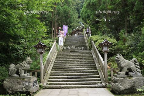 真山神社の石段 写真素材 [ 5906852 ] フォトライブラリー Photolibrary