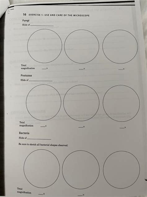 Name Date Lab Section Exercise Laboratory Report