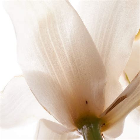 Edp Vs Edt Whats The Difference And Which Should You Wear In Malaysia