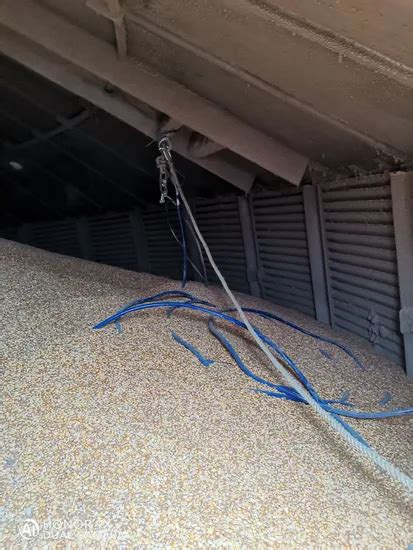 Temperature Monitoring Cables System For Corn Wheat Paddy Rice Steel Silos Humiture Sensor And