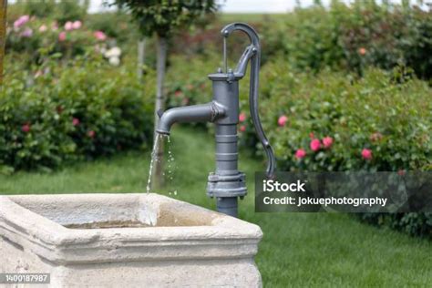 물이 금속 핸드 펌프에서 흐릿한 배경에 장미 덤불이있는 오래된 골짜기로 떨어집니다 핸드 펌프에 대한 스톡 사진 및 기타 이미지 핸드 펌프 물 0명 Istock