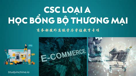 Csc Type B The Silk Road Scholarship Program