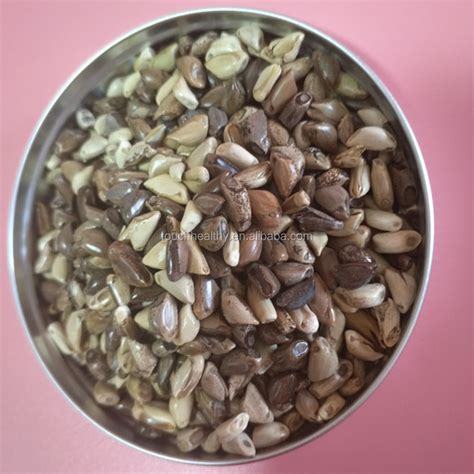 Buy 2021 Mexico Corn Grass Seeds Compared With Common Forage Yield