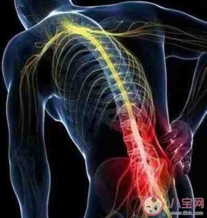为什么坐久了会腰疼 久坐腰疼该如何缓解 八宝网