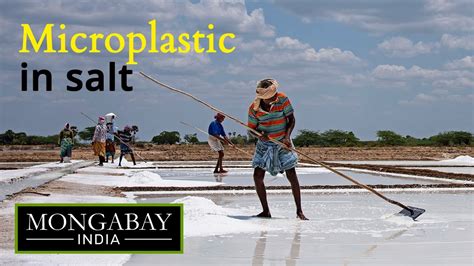 Indian Scientists Find Microplastics In Sea Salt Youtube