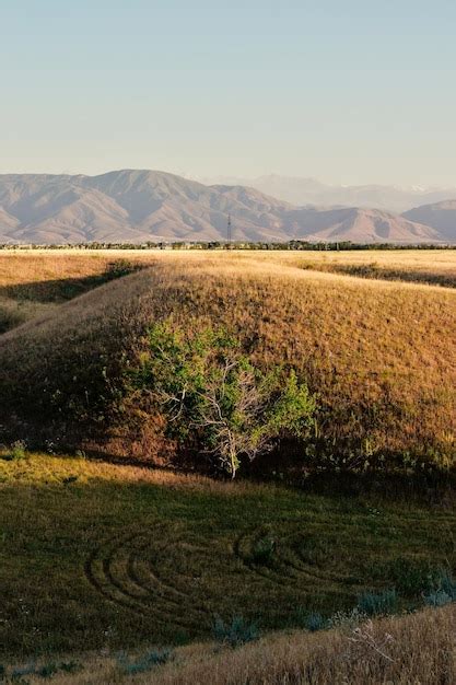 Premium Photo Steppe