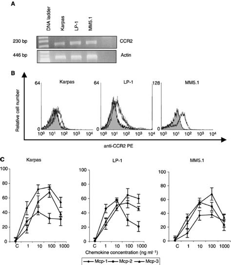 Chemokine Receptor Ccr2 Is Expressed By Human Multiple Myeloma Cells And Mediates Migration To