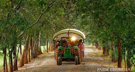 ฟาร์มโชคชัย แหล่งท่องเที่ยวเขาใหญ่ ปากช่อง ยอดฮิตของทุกคนในครอบครัว Go Out ไปเที่ยวกันเถอะ