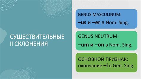 Имя существительное I и Ii склонения презентация онлайн