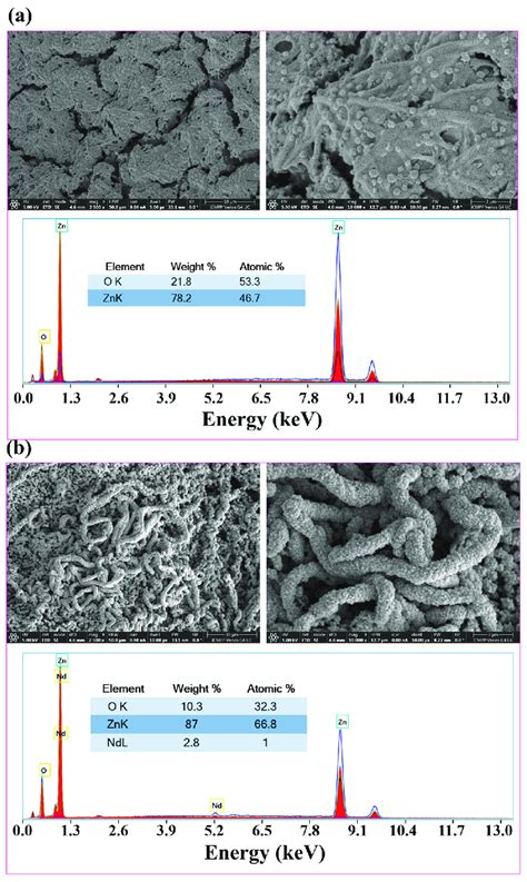 Sem Images And Edx Spectra Of A Undoped Zno And B Nd Doped Zno Download Scientific