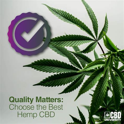 Hemp Hempcbd Wellness Bestquality Cbd Carmen Milagro Mcpc