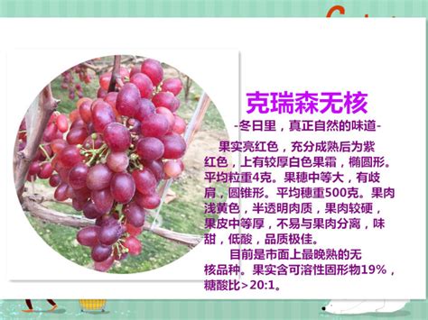 克瑞森无籽葡萄 克瑞森无核葡萄 克瑞森无籽红提 大山谷图库