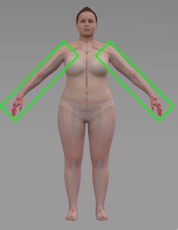 Calculating Values For Symmetrical Poses Browzwear Help Center
