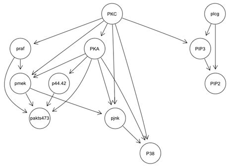 Jefworks Lab Signaling Network Reconstruction Using Bayesian Networks In R